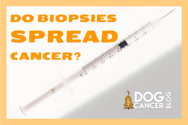 Can Needle Biopsy Spread Cancer? It Depends on Several Factors.