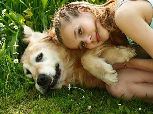 True Tails from Others Who've Battled Dog Cancer - Dog Cancer Blog