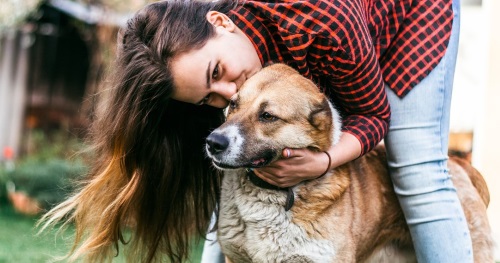 True Tails - Others Who Have Battled Dog Cancer - Dog Cancer Blog